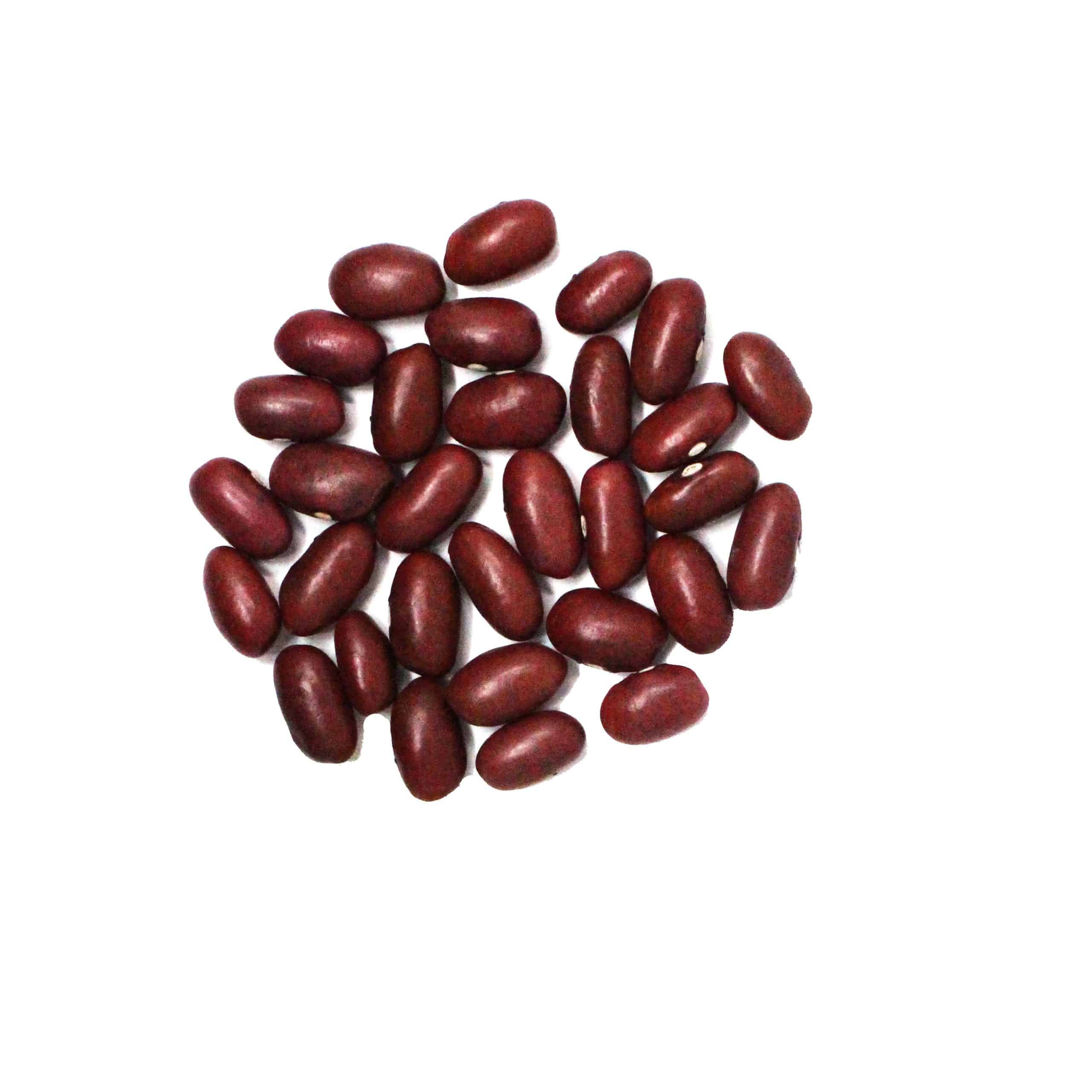 HARICOTS ROGNON ROUGE BIO – Aliments Merci!