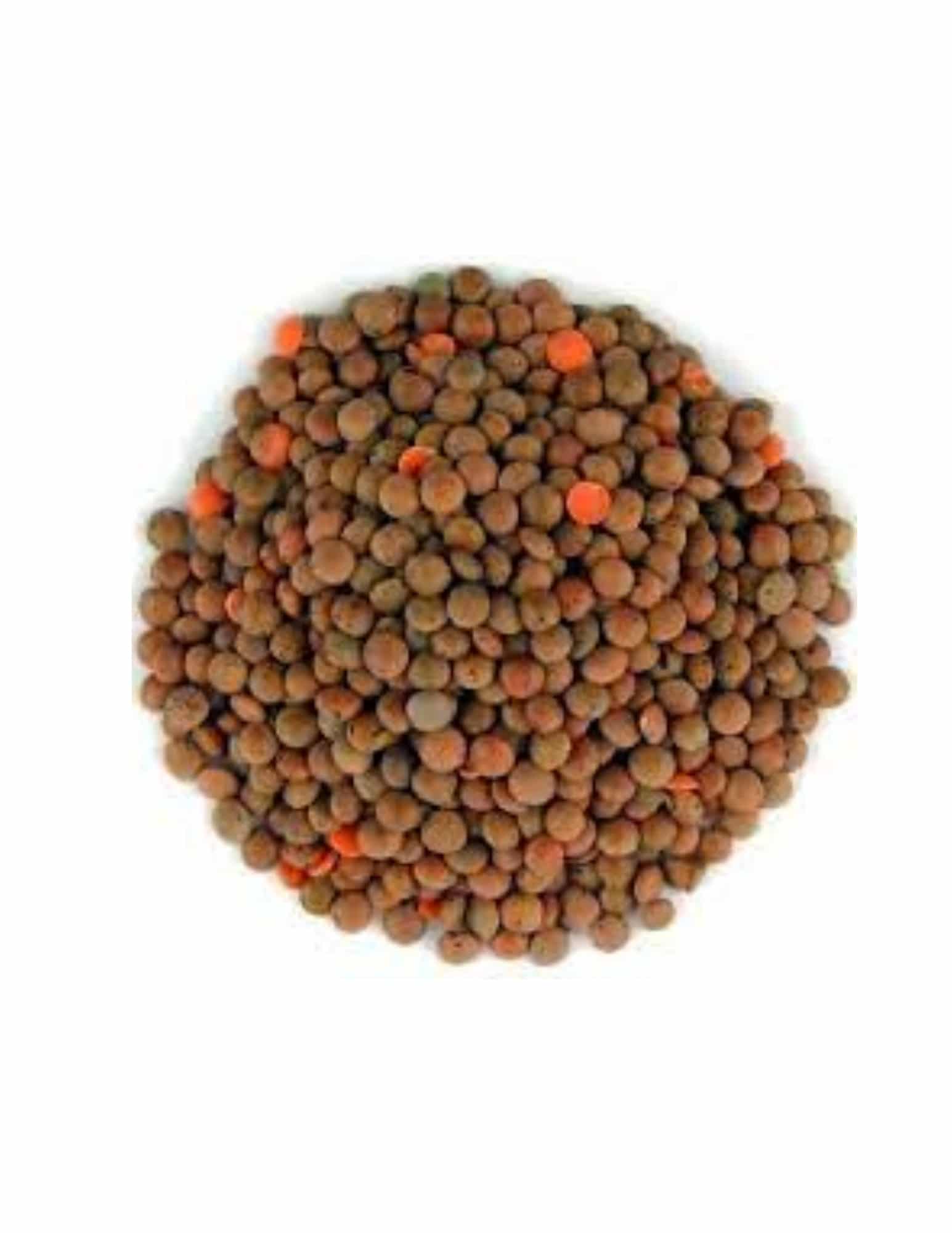 Lentilles Brunes Biologiques Caisse (TURQUIE) | Aliments Merci!